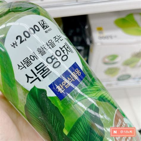 거실에서 키우는 수경재배 관엽식물 화초 영양제 사용법 네이버 블로그