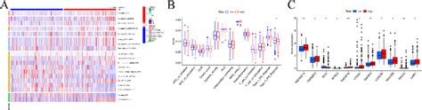 Correlation Between Risk Score And Immune Signatures A Correlation