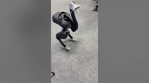 Automação Inteligenciaartificial Arduino Esp32 Raspberrypi Impressora3d Robotica Futuro