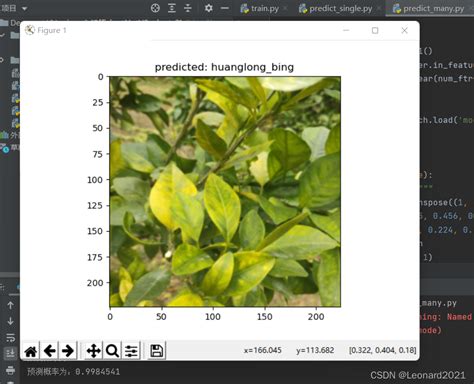 【pytorch】densenet121迁移学习训练可视化densenet121模型训练 Csdn博客
