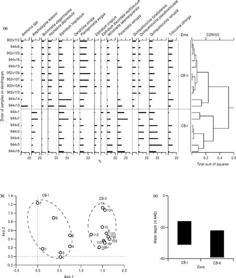 a unconstrained cluster analysis based on unweighted euclidean