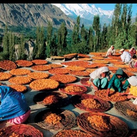 Вижте с какво се хранят тези хора защото живеят средно по 120 години и никога не боледуват от