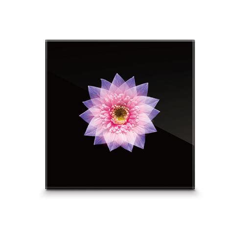 Moorgen Brand Moorgen Smart Home