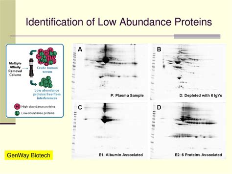 Joseph A Loo Department Of Biological Chemistry Ppt Download