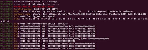 Colorful Vulnerabilities