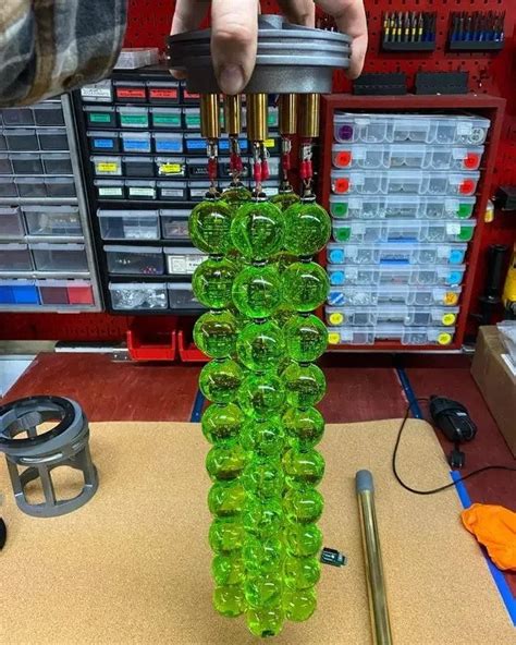 샤인머스켓 탕후루 유머 움짤 이슈 에펨코리아