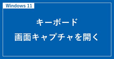 【windows11】pythonをインストールする方法 Steganom