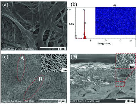 A Sem Image Of The Filter Paper Surface B Eds Data And Download Scientific Diagram