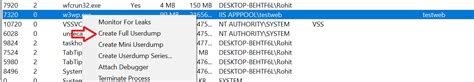C Finding Memory Leak Stack Overflow