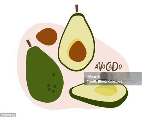 아보카도 과일 손으로 그린 낙서 스케치 고립 플랫 벡터 메뉴 스티커 로고 해독 다이어트 개념 농민 시장을위한 음식 템플릿 전체