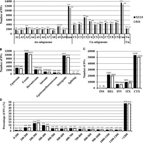Genomic Annotation Of Structure Variations Svs Of The N Efficient