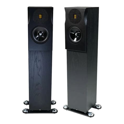 Neat Momentum J6 Hifi Paca