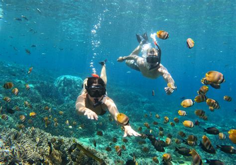 롬복 길리섬 스노클링 단독 투어 길리 트라왕안 길리 메노 길리 아이르 Nol 인터파크투어