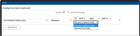in rsa identity governance and lifecycle while attempting to create modify review definition when