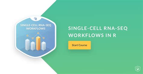 Single Cell Rna Seq Workflows In R Datacamp