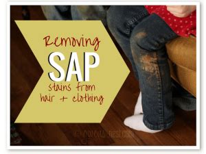 Tree Sap Stains Gwen S Nest