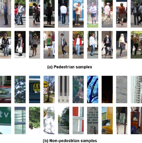 Figure 1 From Random Vector Functional Link Net Based Pedestrian