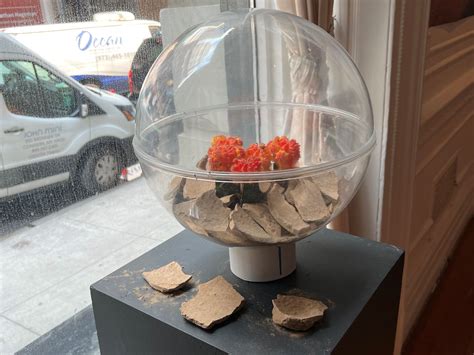 Speculative Futures In New York Joaquin Fargas