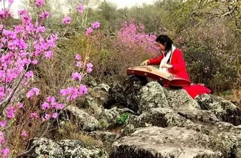 達子香花開，在這裡遇見最撩人的春天 每日頭條