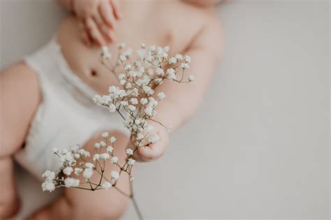 Gypsophila 가족 걱정 없는 고요한 귀여운 귀중한 금고 기저귀 깨끗한 꽃 꽃무늬 다정한 돌보다 따뜻함 만지는 모성 미니멀리스트 부드러운