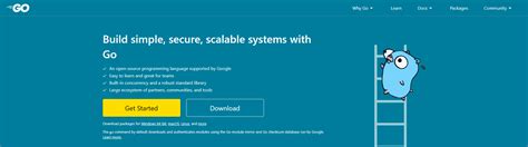 【go 基础篇】开发环境搭建与开发工具选择go语言环境搭建 Csdn博客