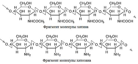 Хитин и хитозан - Биополимеры и перспективные материалы на их основе
