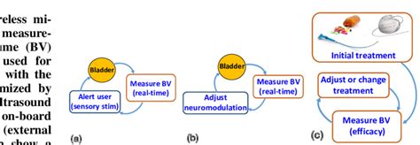 Advantages Of Real Time BV Monitoring For A Sensory Restoration B Download Scientific