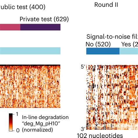 Signal To Noise Filtering And Hierarchical Clustering Was Used To