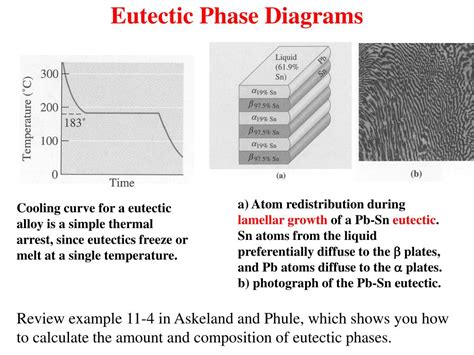 Pb Sn Phase Diagram Exatin Info