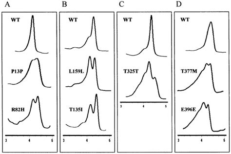 Examples Of Dhplc Elution Profiles Of Wild Type Wt Top Curve And