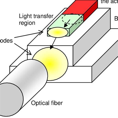 1 2 D Illustration For Total Internal Reflection Of An Optical Download Scientific Diagram