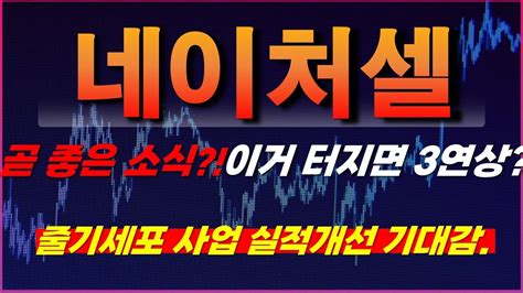 네이처셀 주가전망 곧 좋은소식 이거 터지면 3연상 줄기세포 사업 실적개선 기대감 Youtube