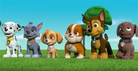 Pin By Thomas Ash On Paw Patrol Pups Paw Patrol Pups Paw Paw Patrol