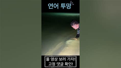 투망으로 연어를 잡아보자 Youtube