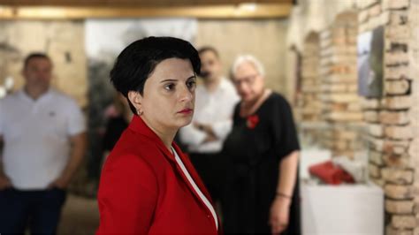 “კორუფციის და ხალხის ფულის გაფლანგვის ინსტრუმენტი” მეზვრიშვილი სახელმწიფო გრანტების სააგენტოზე