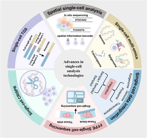 Applications Of Single Cell Technologies In Drug Discovery For Tumor Treatment Iscience