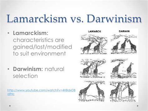 Theory Of Evolution Difference Between Lamarck And Darwin Theory Of Evolution
