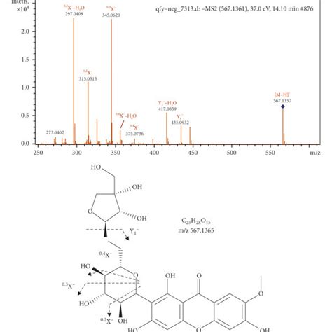Ms Ms Spectra And The Proposed Fragmentation Pathways Of Download Scientific Diagram