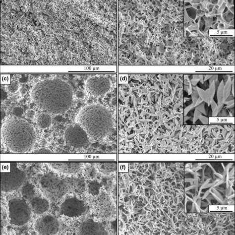 Three Fabrication Routes Based On Nonsolvent Induced Phase Separation Download Scientific