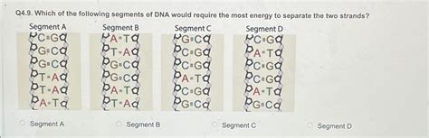 Solved Q49 ﻿which Of The Following Segments Of Dna Would
