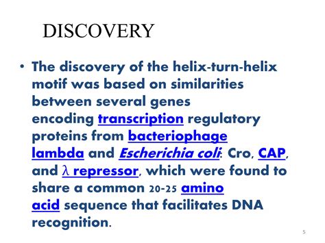 Helix Loop Helix Helix Turn Helix Pptx