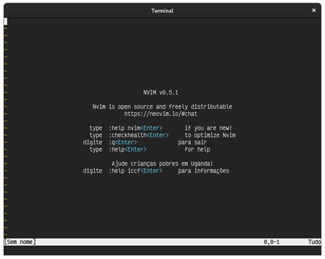 My Basic Neovim Setup Dev Community