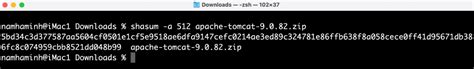 How To Set Up Tomcat On Macos
