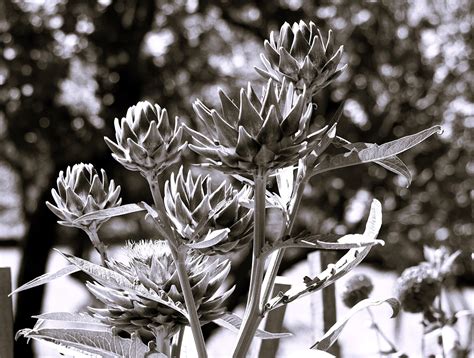 Trish Doyle Trish Doyle • Instagram Photos And Videos