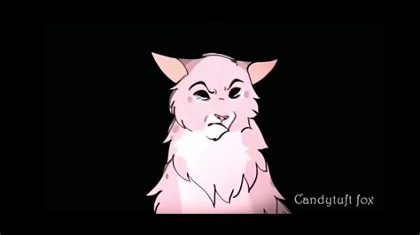 котывоители Кленовница Youtube