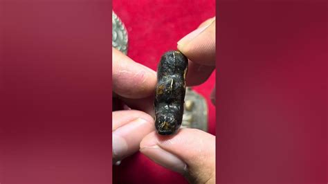 เต๊ะ ️อมตะพระเครื่องvip Ep180องค์ละ500ทุกองค์แอดไลน์0633157252หรือโทร06331572 52ฝากกดติดตามด้วย