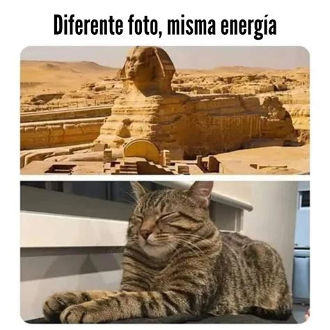 Gato Faraónico Meme Subido Por Ernicoferrer Memedroid