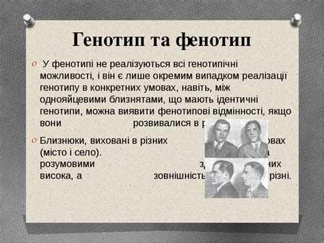Генотипи і фенотипи презентація з біології