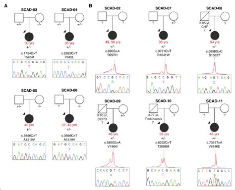 Sanger Sequencing Verification Of Heterozygous Missense Variants In